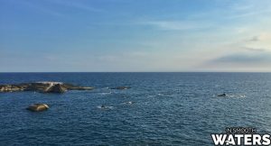 Top 14 Of The World’s Largest Oceans And Seas | ISM