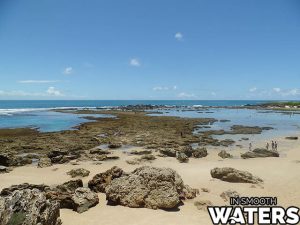 Top 14 Of The World’s Largest Oceans And Seas | ISM