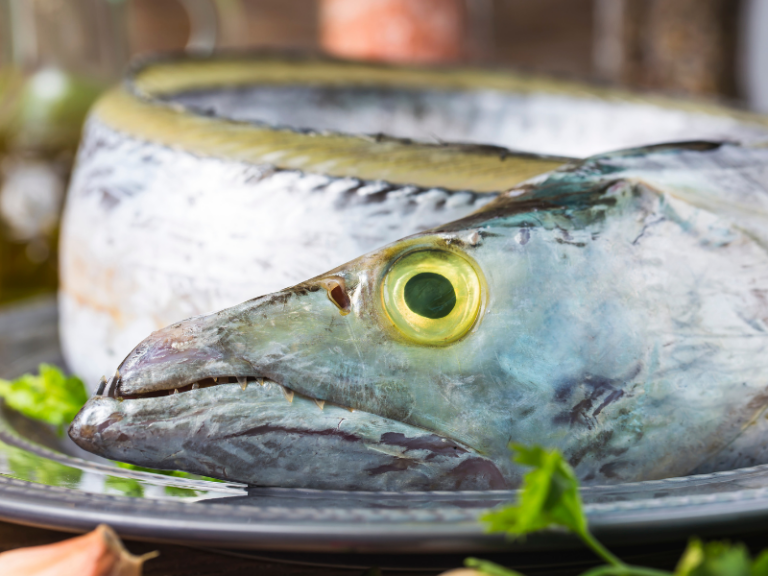 Top 10 Most Common Fish In The Sea You Never Heard Of | ISM