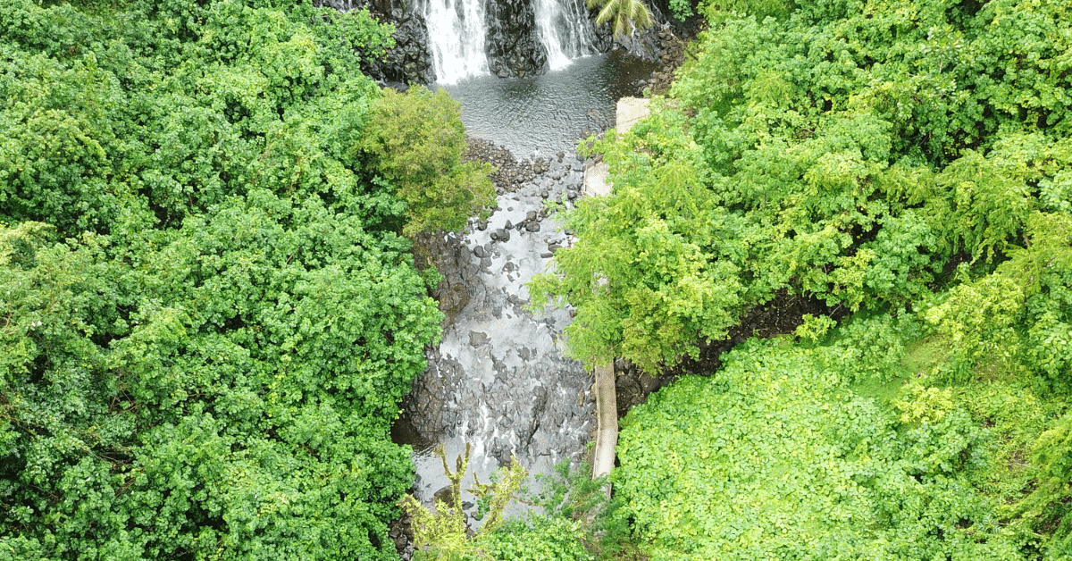 Pohnpei: One Of 4 Breathtaking States Of Micronesia | ISM